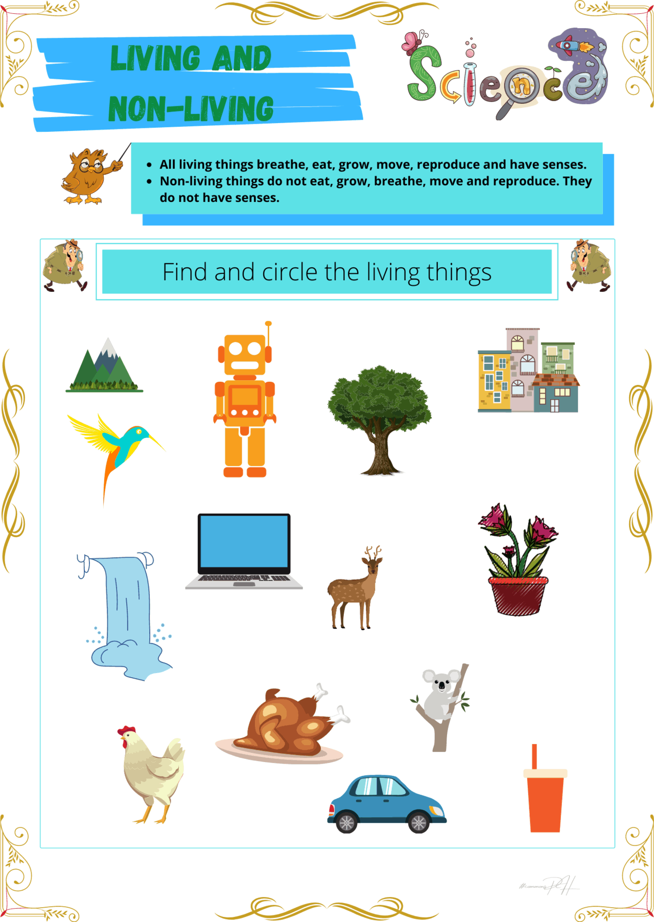 Free Printable 1st Grade Science Worksheets Learning How To Read 1st 