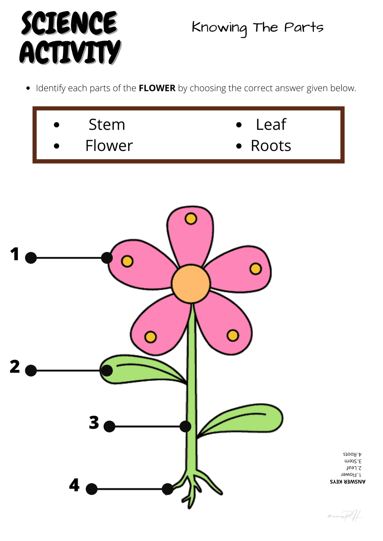 Grade 1 Science Worksheet Living Things And Non Living Things Grade 1