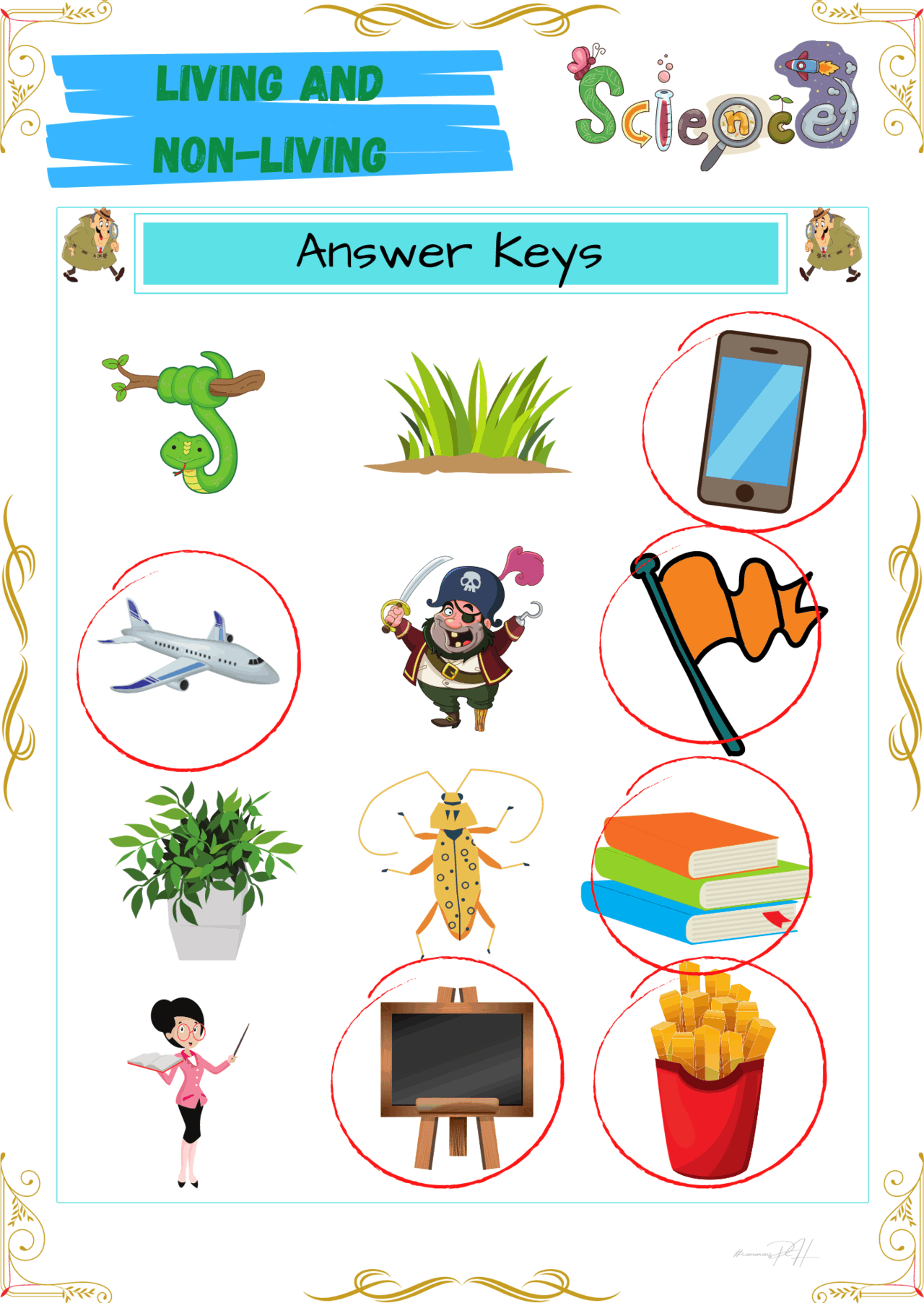 Grade 1 Science Activity Sheets Living And Non Living Things 2 6th 